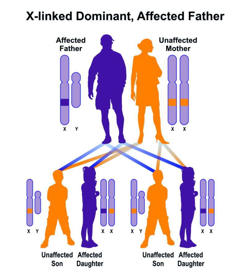 Genetic Facts Rare Disorders Society Singapore